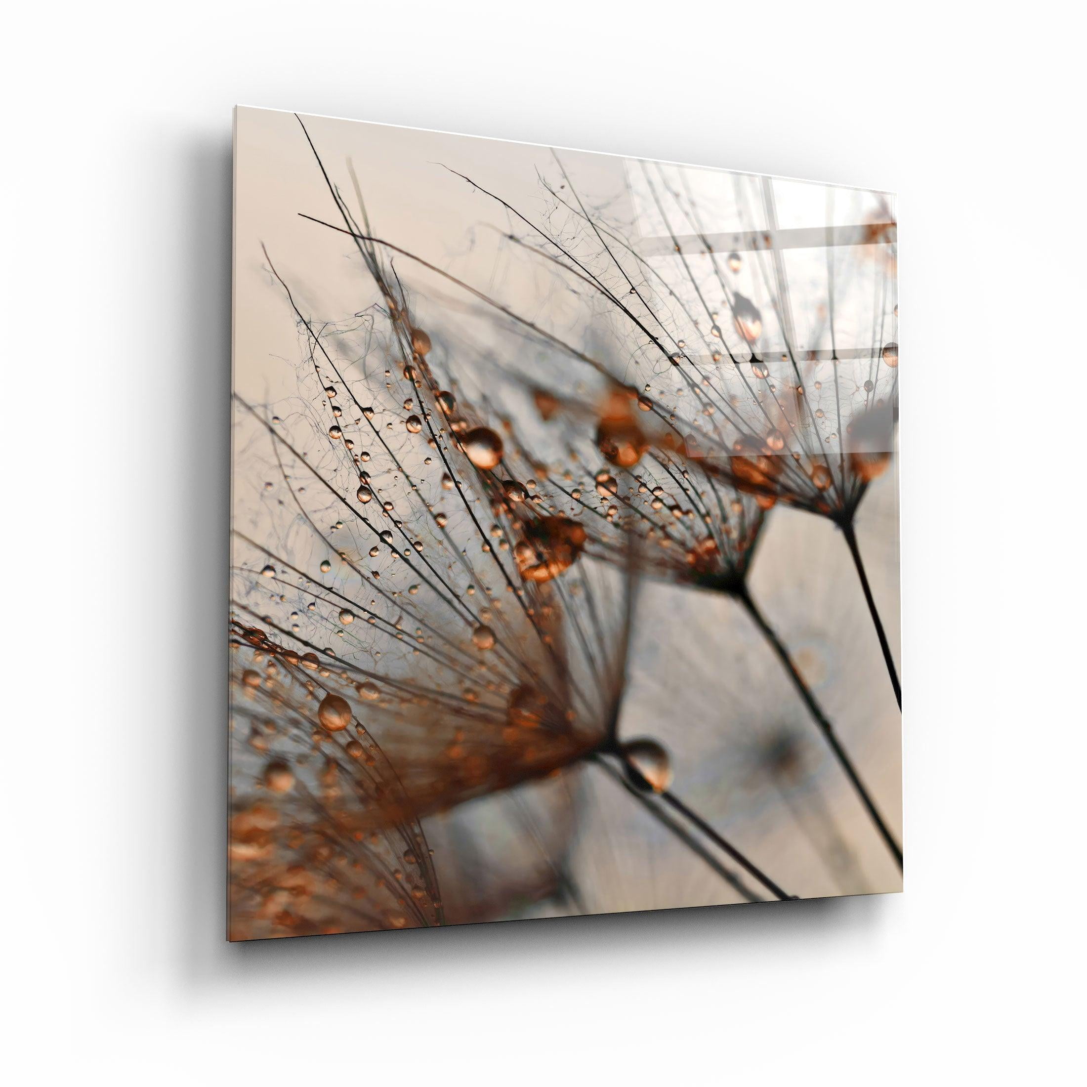 Orange Flower"・Glass Wall Art - Walmart.com