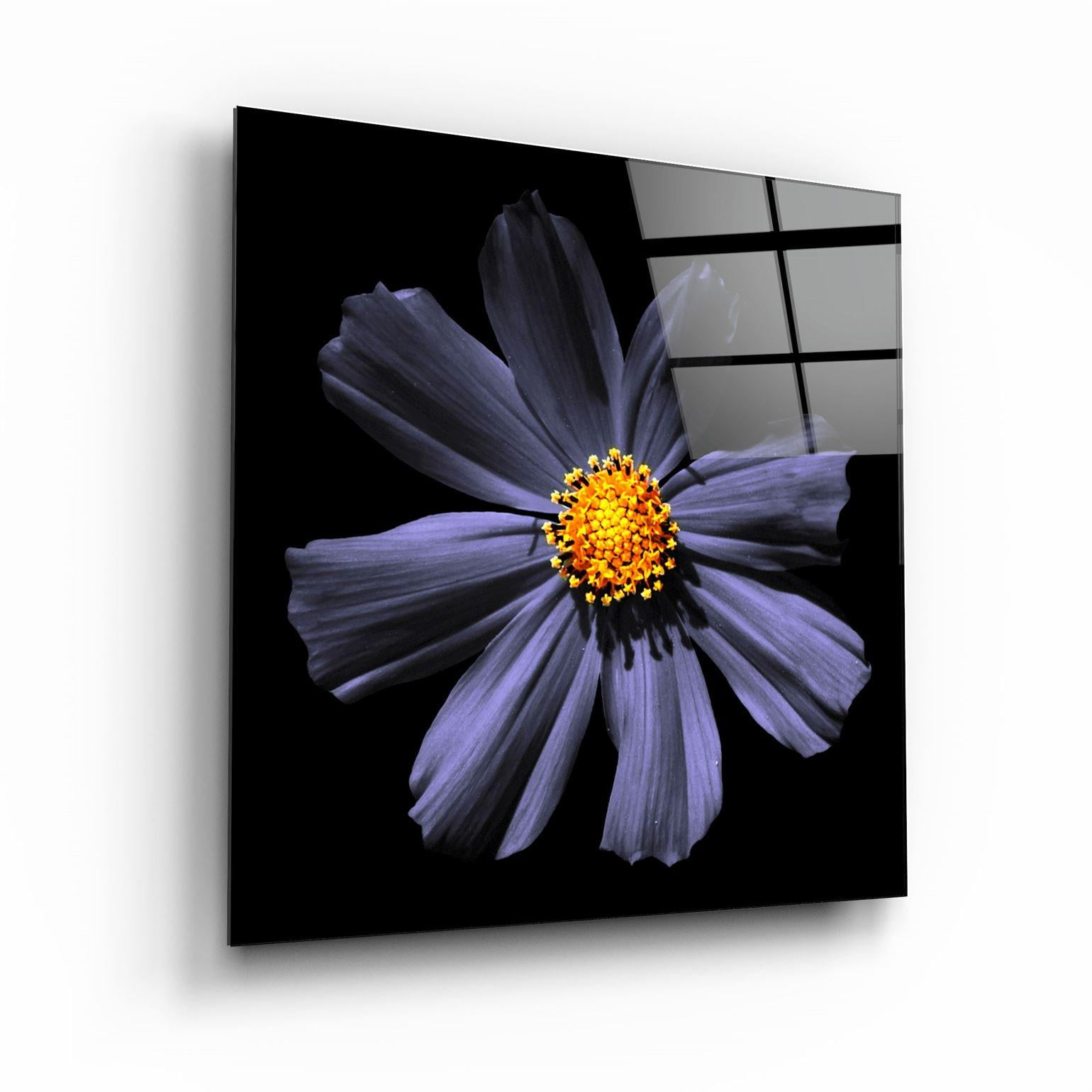 Purple Flower"・Glass Wall Art - Walmart.com
