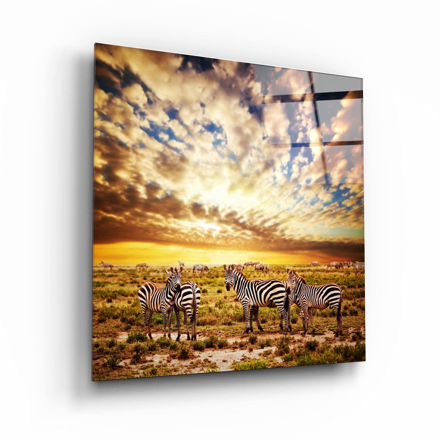 Zebras"・Glass Wall Art - Walmart.com