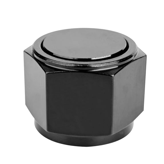 12AN Female Flare Cap Port Plug Block Off Fitting, Female Flare Cap ...
