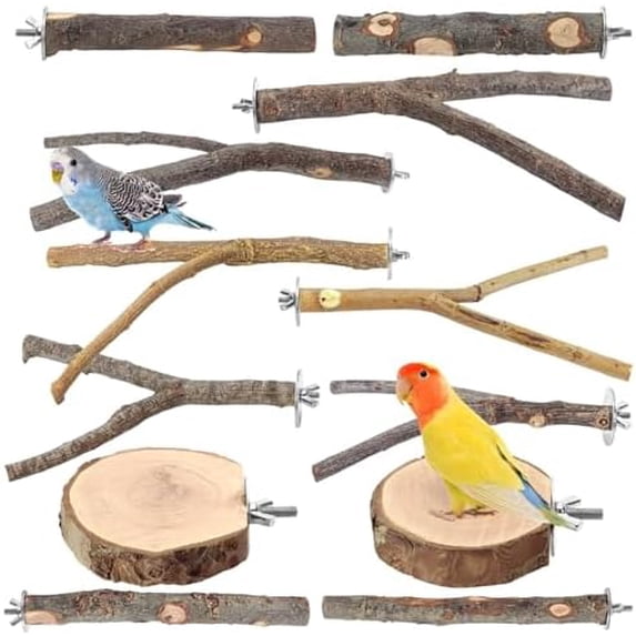 12PCS Natural Wood Bird Perches for Cage, Parrot Perch Stand & Platform ...