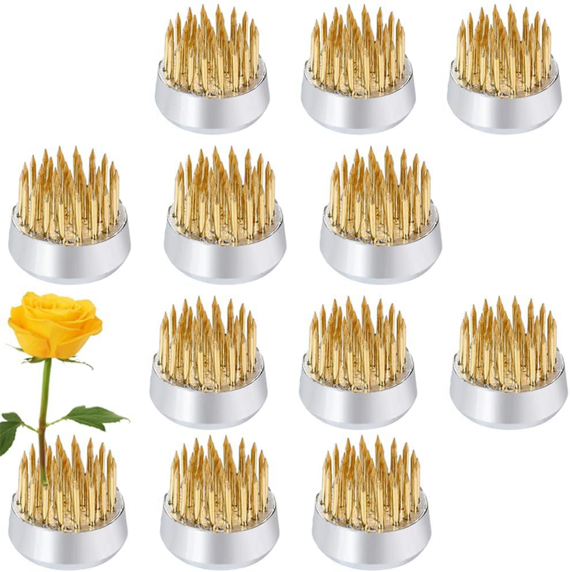 12PCS Round Flower Frog, Floral Pin Frog Japanese Flower Frogs for ...