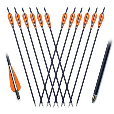 TenPoint Superbrite 20" 2219 Aluminum Arrows - Walmart.com