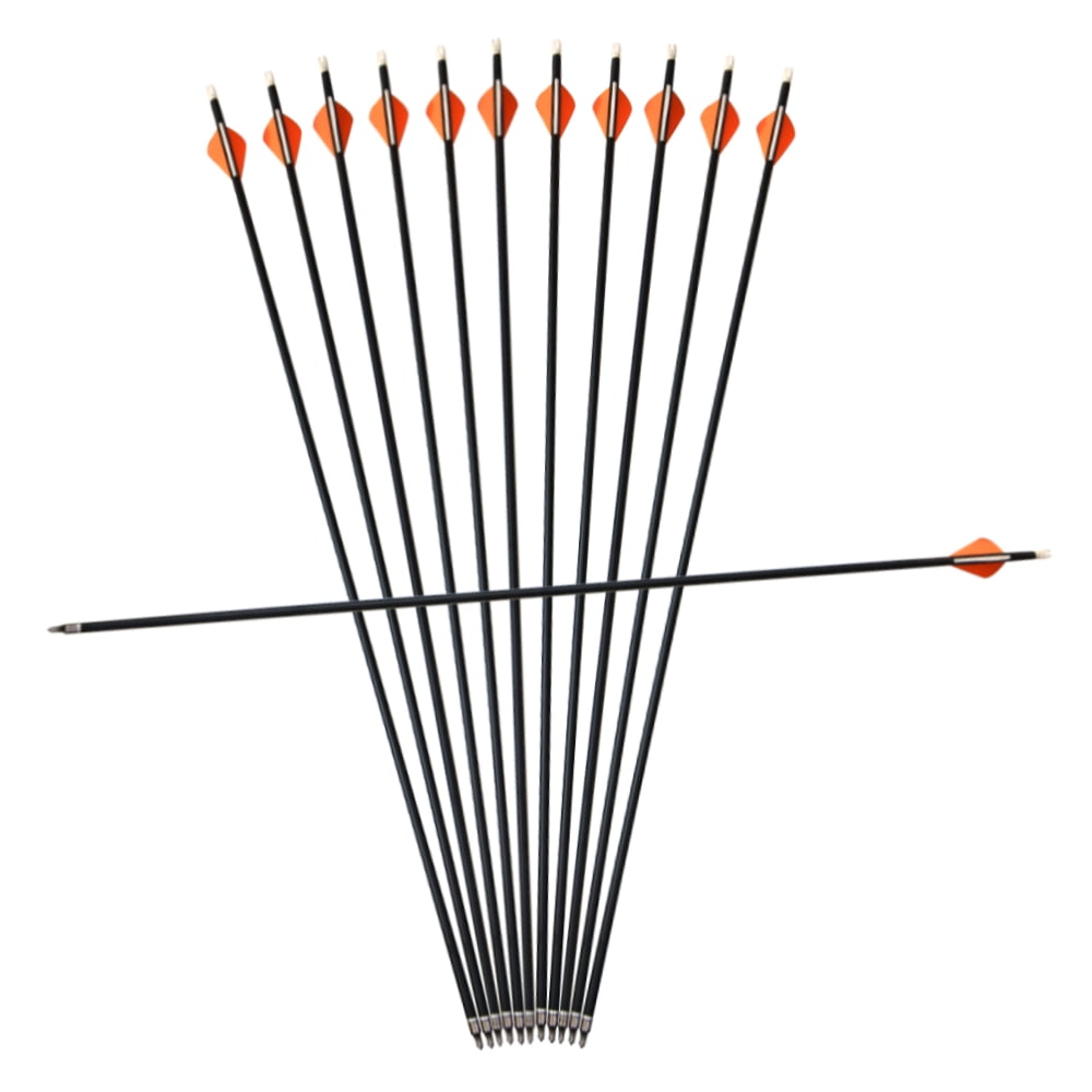12Pcs 30" Archery Carbon Arrows SP500 Screw Point Compound Recurve Bow ...
