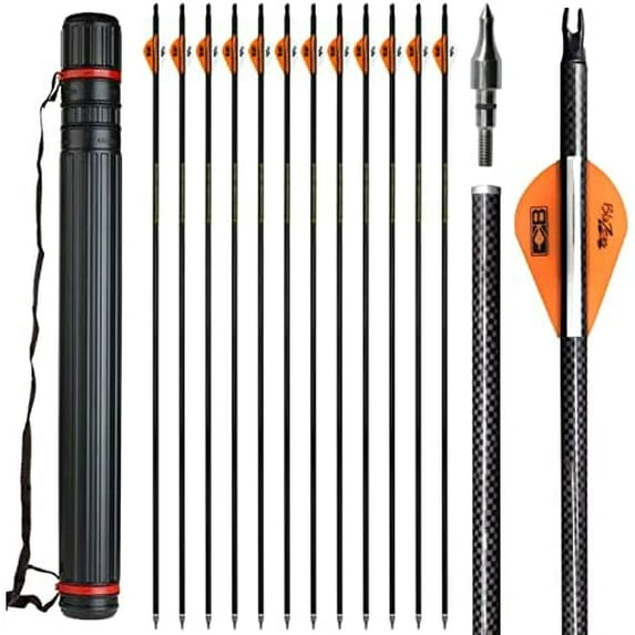 12Pcs 3K Carbon Arrows 31 Inch Archery Arrows 300 Spine with Arrow Tube ...