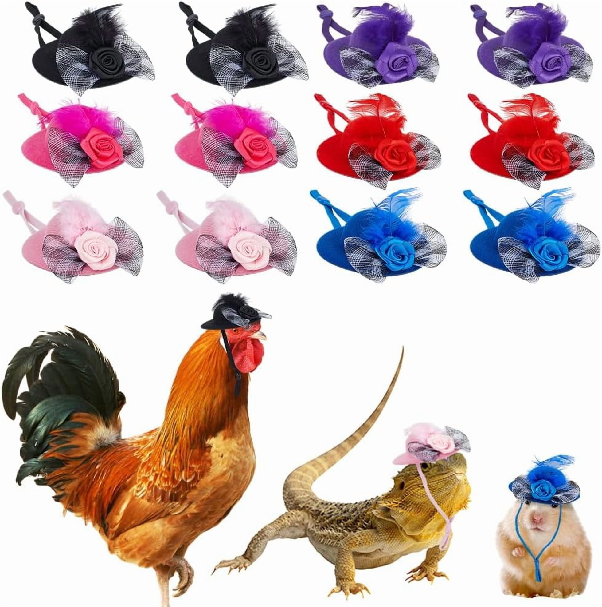 12Pcs 6 Colors Polyester Pet Hat Cat Dog Cosplay Supplies Mixed Color ...