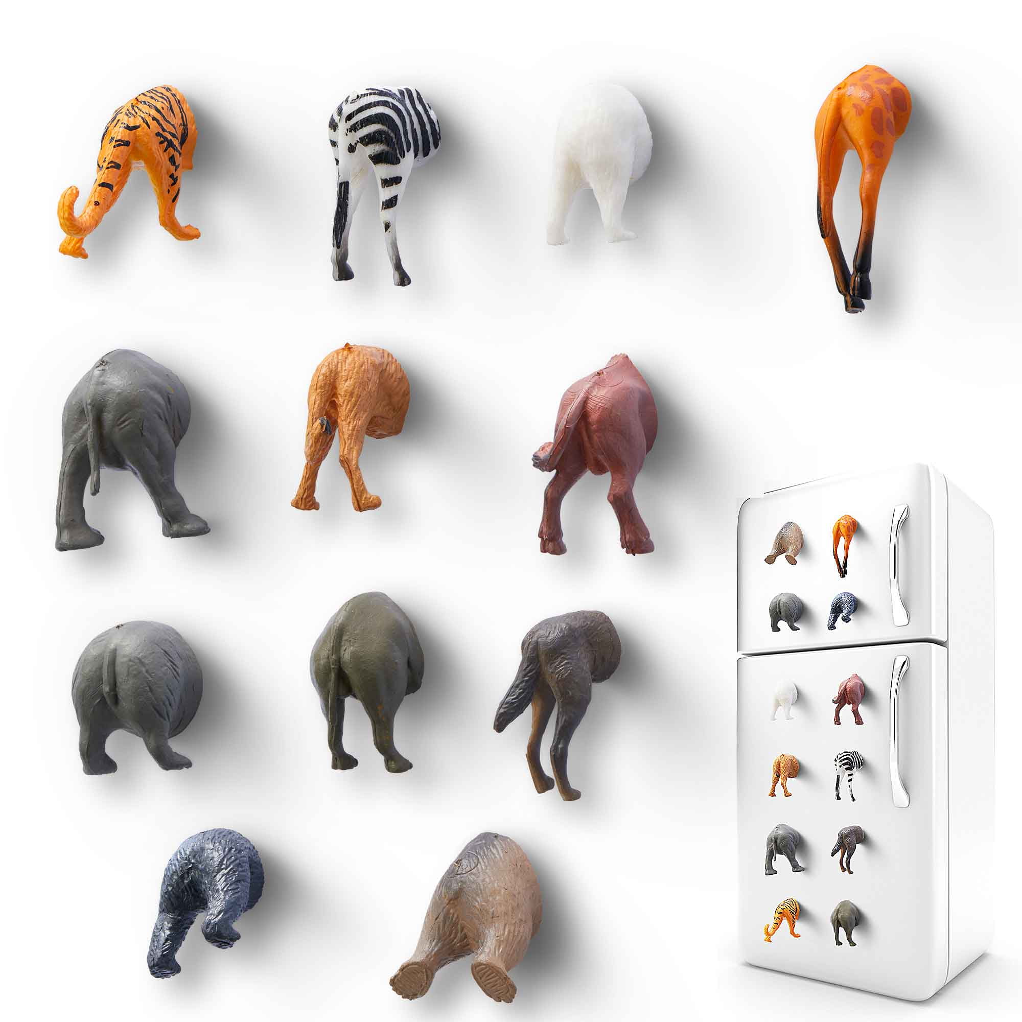 12Pcs Add Some Humor and Funny to your fridge with our Wild Animal Butt ...