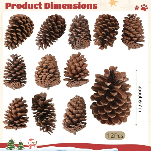 Scented Pine Cones