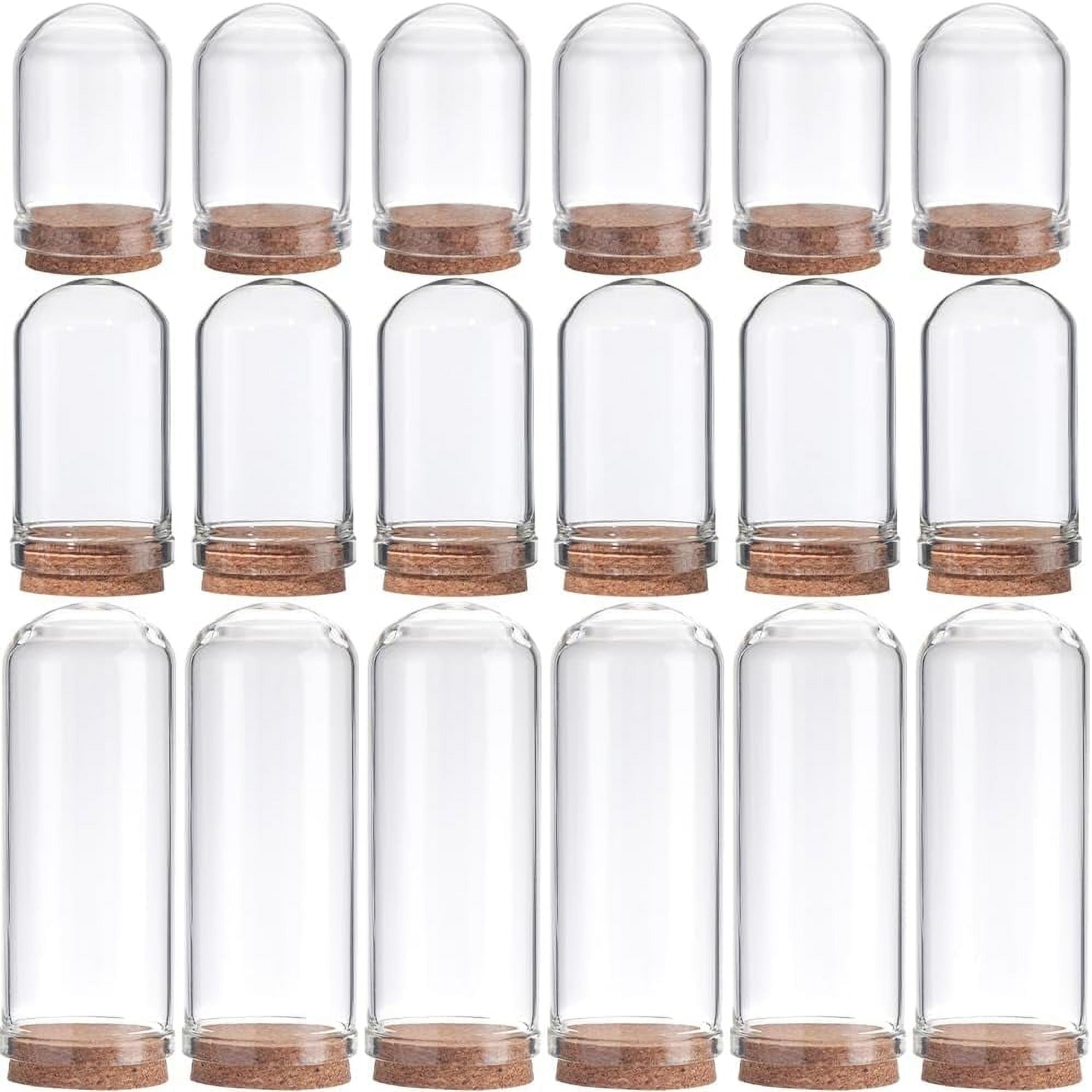 12Pcs Cloche Bell Jar Display Case Glass Display Dome with Wood Base 1. ...