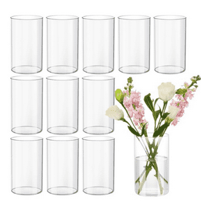 6 Inch Cylinder Vase