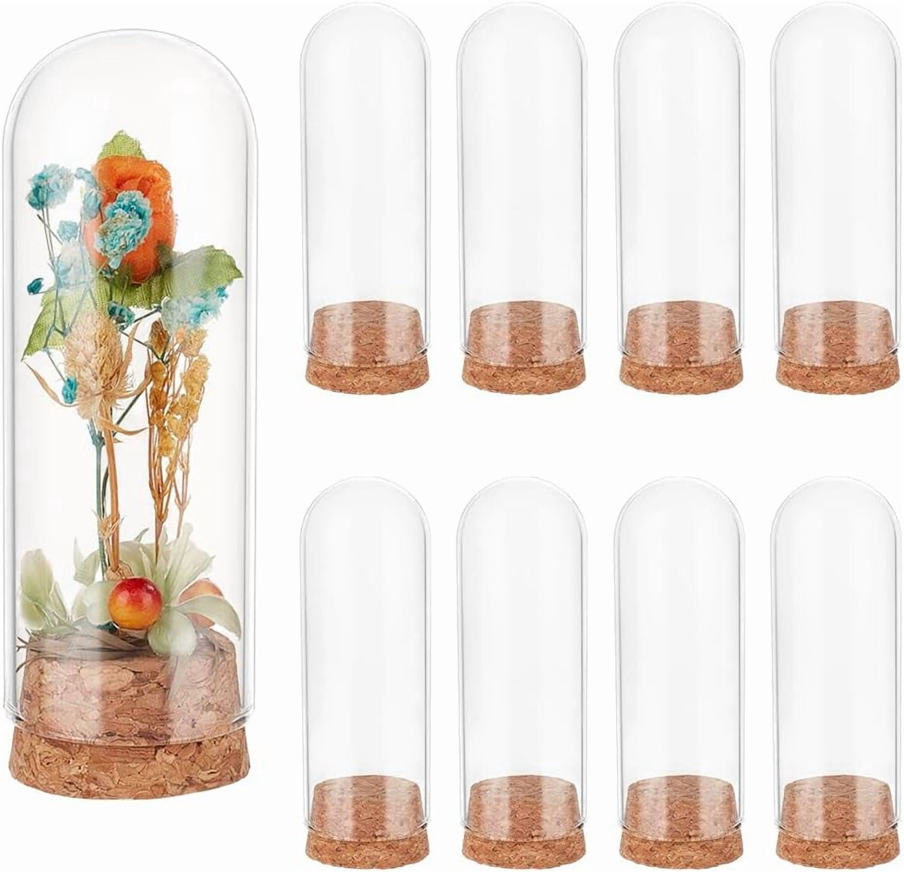 12Pcs Glass Display Dome with Cork Base 1.4x3.9inch Glass Bottles Jars ...