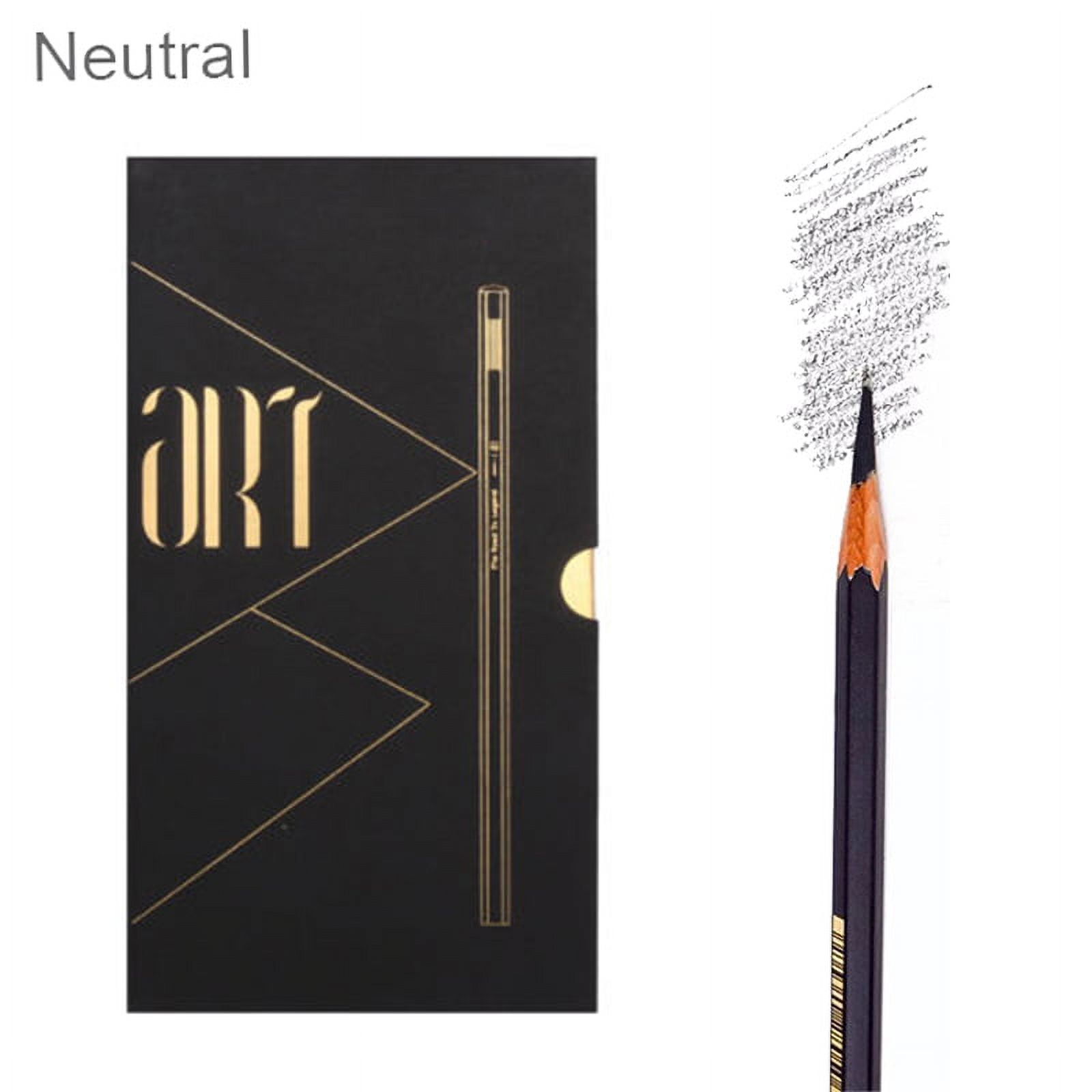 12Pcs High Grade Cedar Charcoal Drawing Pencil Sketch Draw Art Artist ...