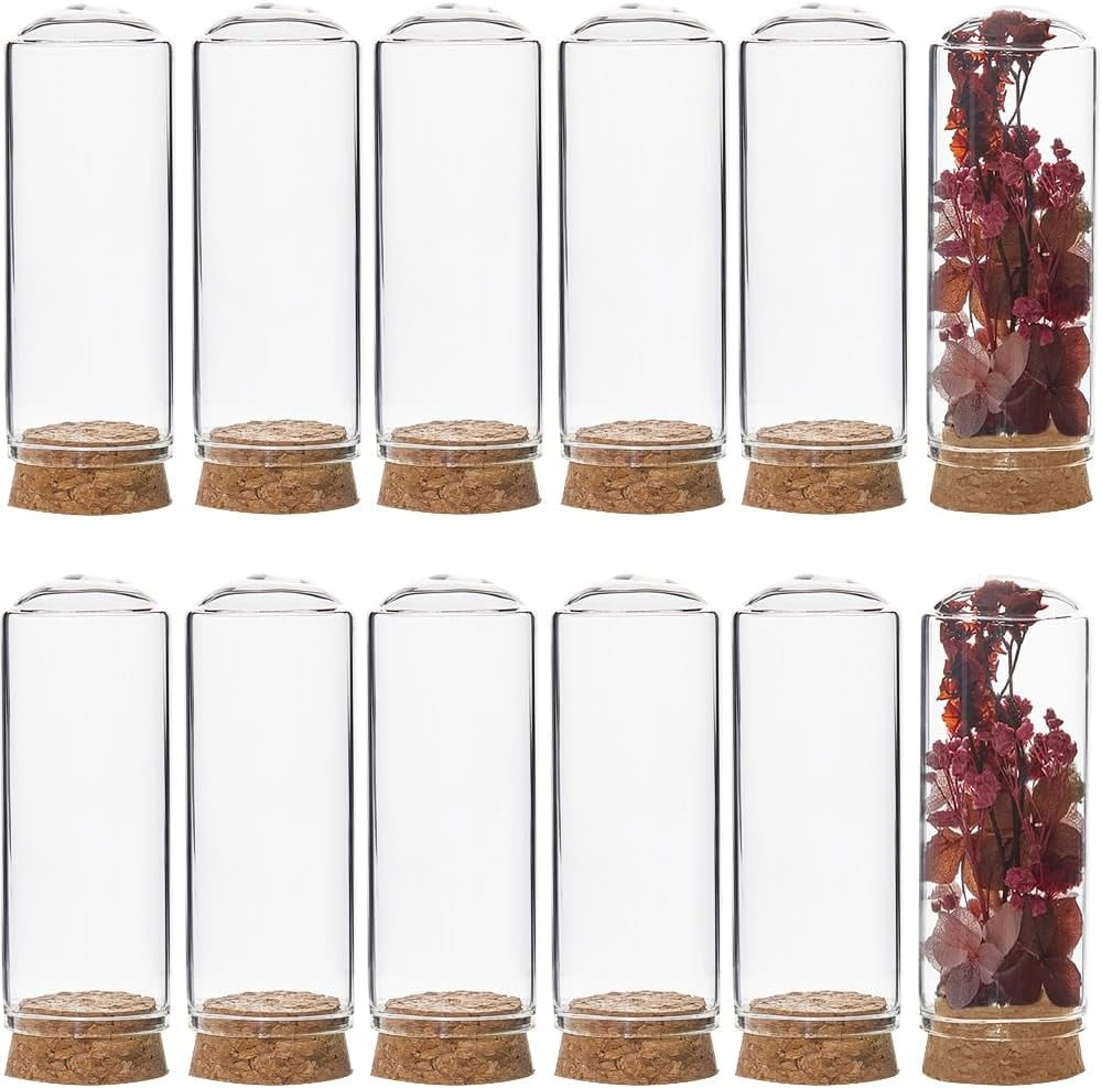 12Pcs Mini Cloche Dome 30x80m Mini Display Bell Jar with Cork Base 40ml ...