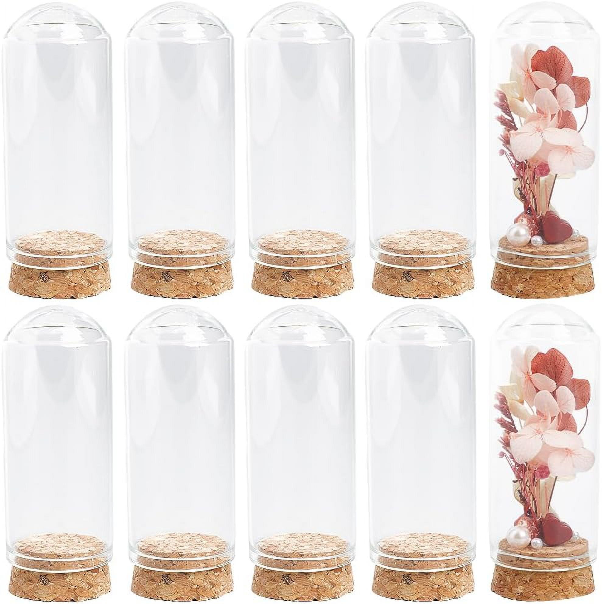 12Pcs Mini Cloche Glass Dome 30x70mm Dome Glass Jars with Cork Base ...