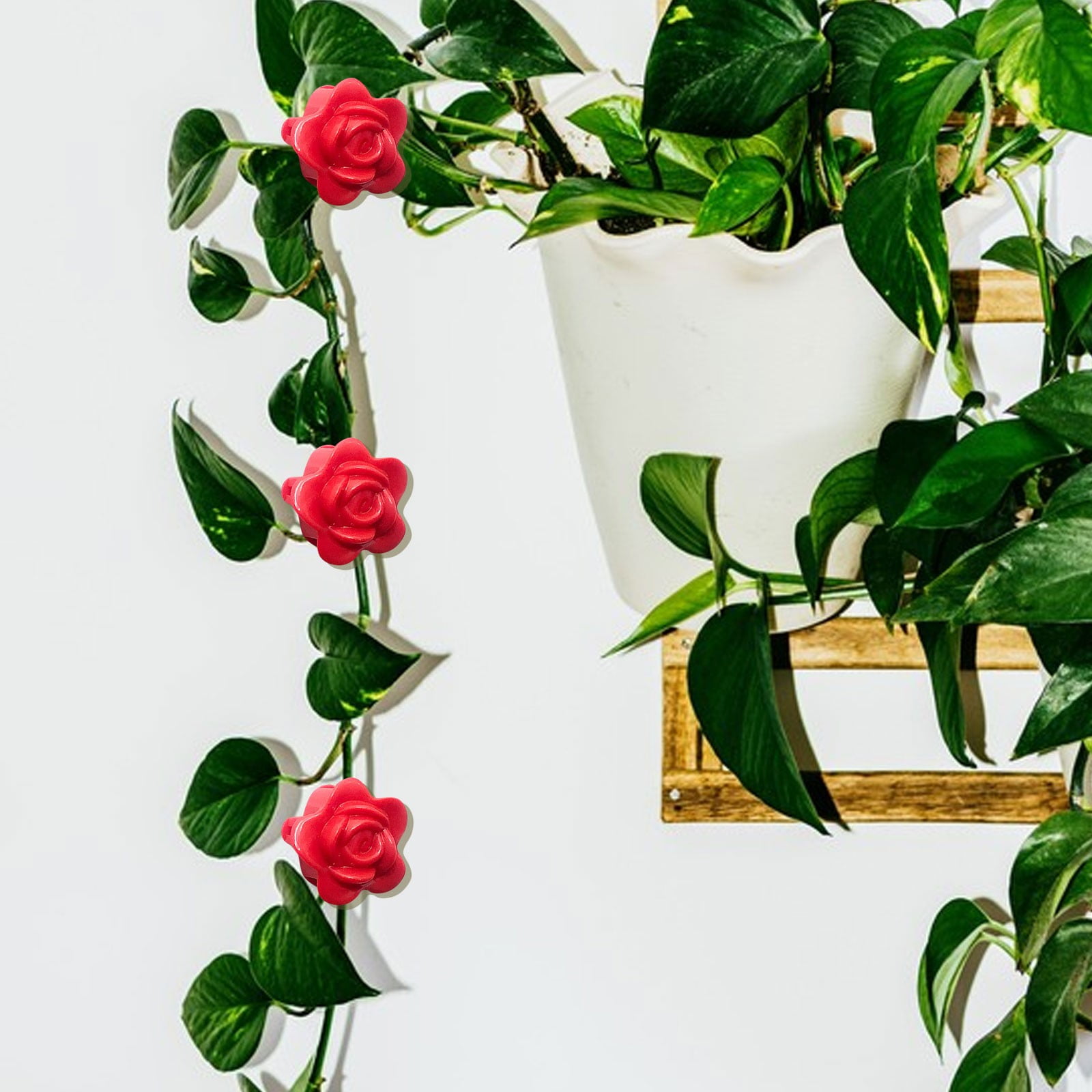 12Pcs Plant Climbing Wall Fixture Clips Plant Fixer Invisible Wall ...