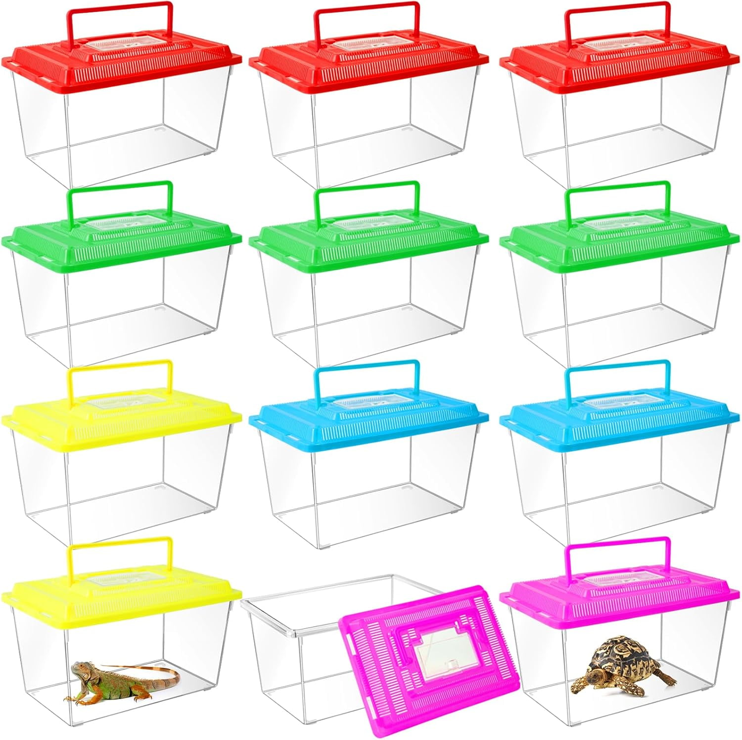 12Pcs Plastic Reptile Terrariums Carrier Cage, Tarantula Enclosure ...
