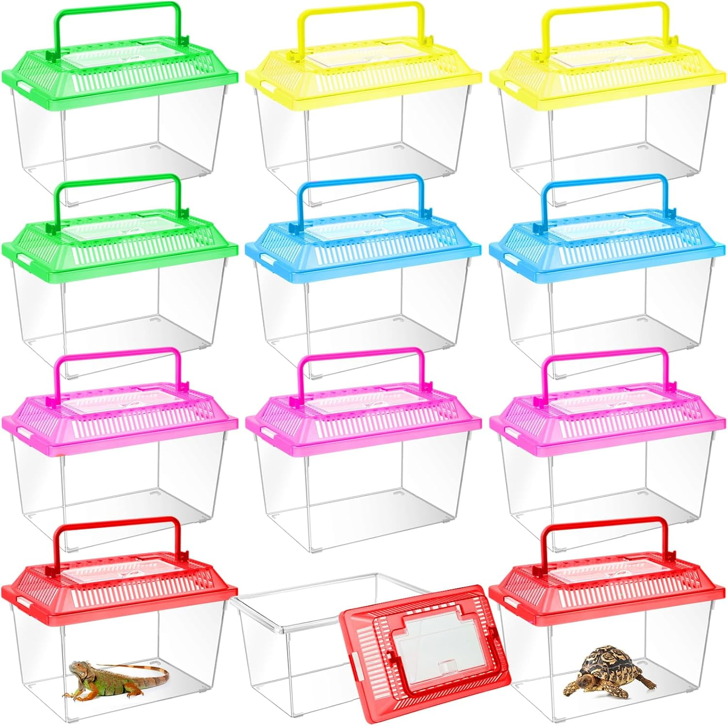 12Pcs Plastic Reptile Terrariums Carrier Cage, Tarantula Enclosure ...
