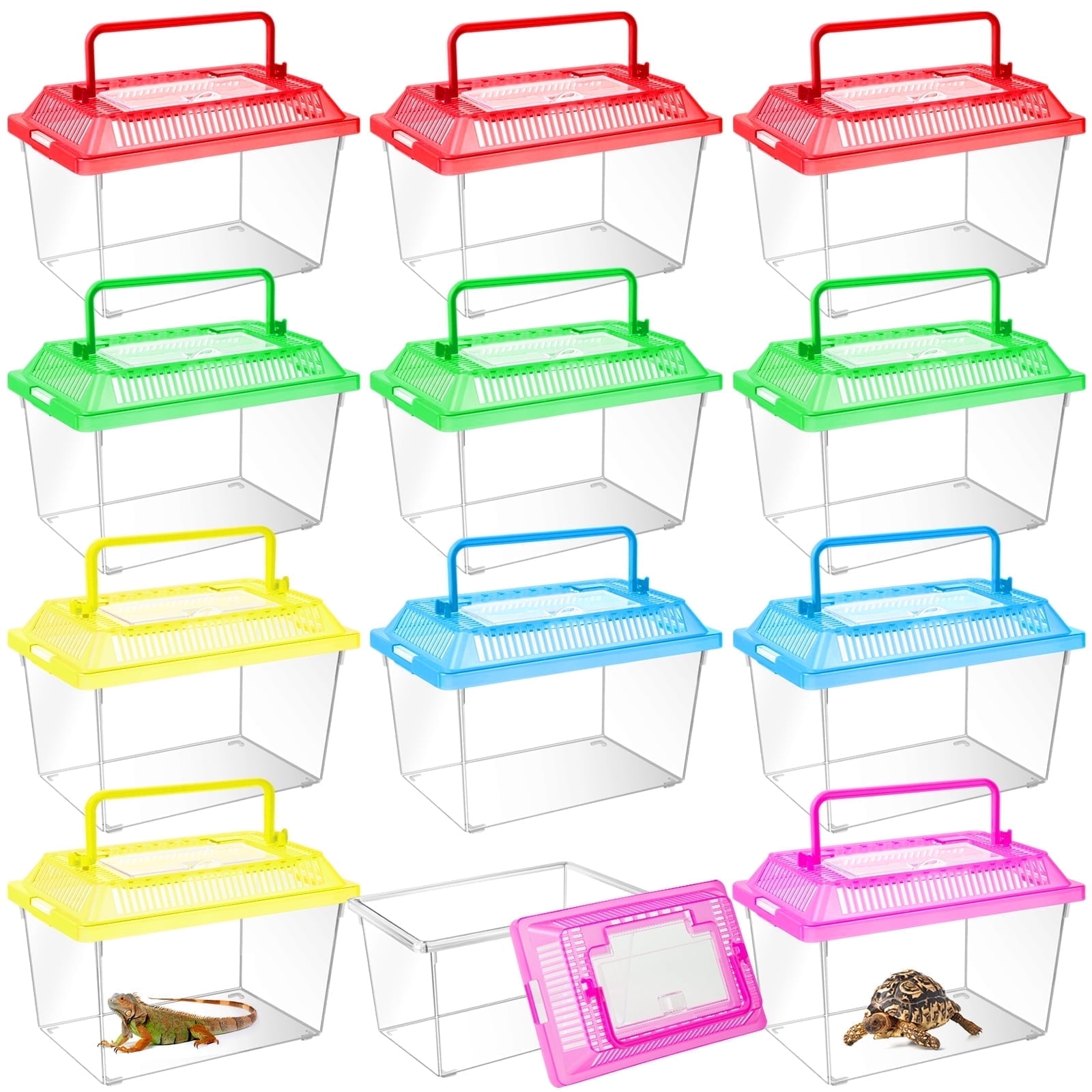 12Pcs Plastic Reptile Terrariums Carrier Cage, Tarantula Enclosure ...