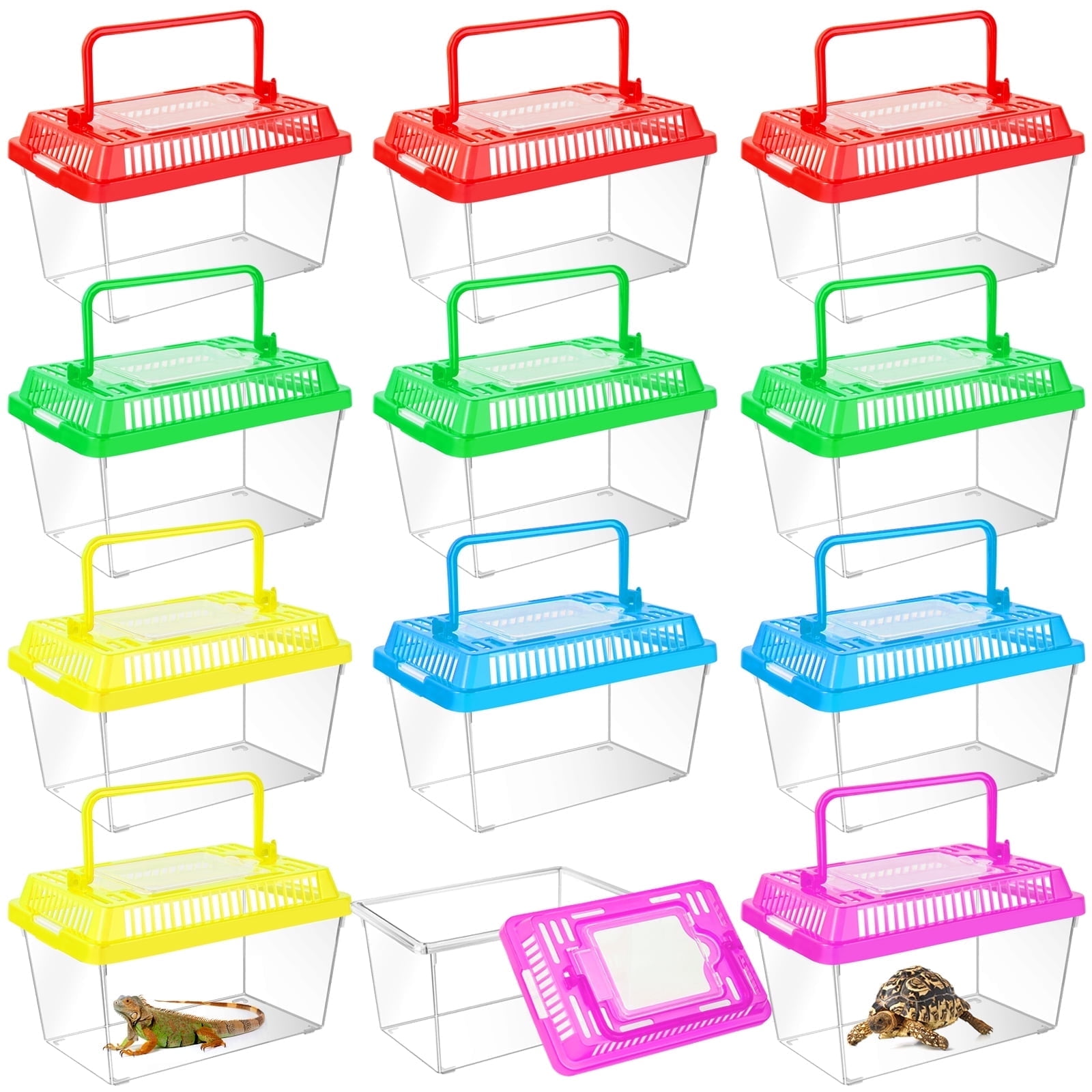12Pcs Plastic Reptile Terrariums Carrier Cage, Tarantula Enclosure ...