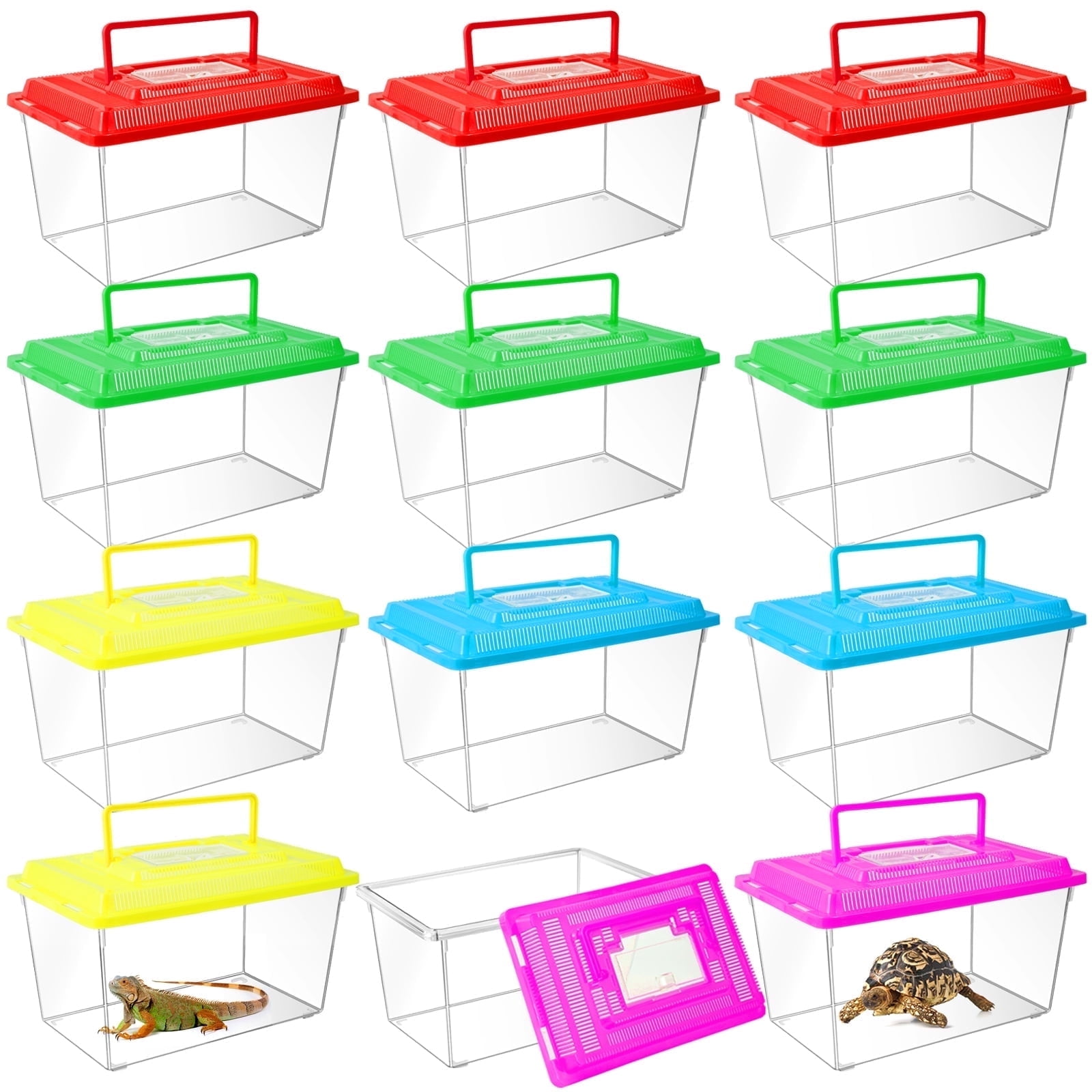 12Pcs Plastic Reptile Terrariums Carrier Cage, Tarantula Enclosure ...