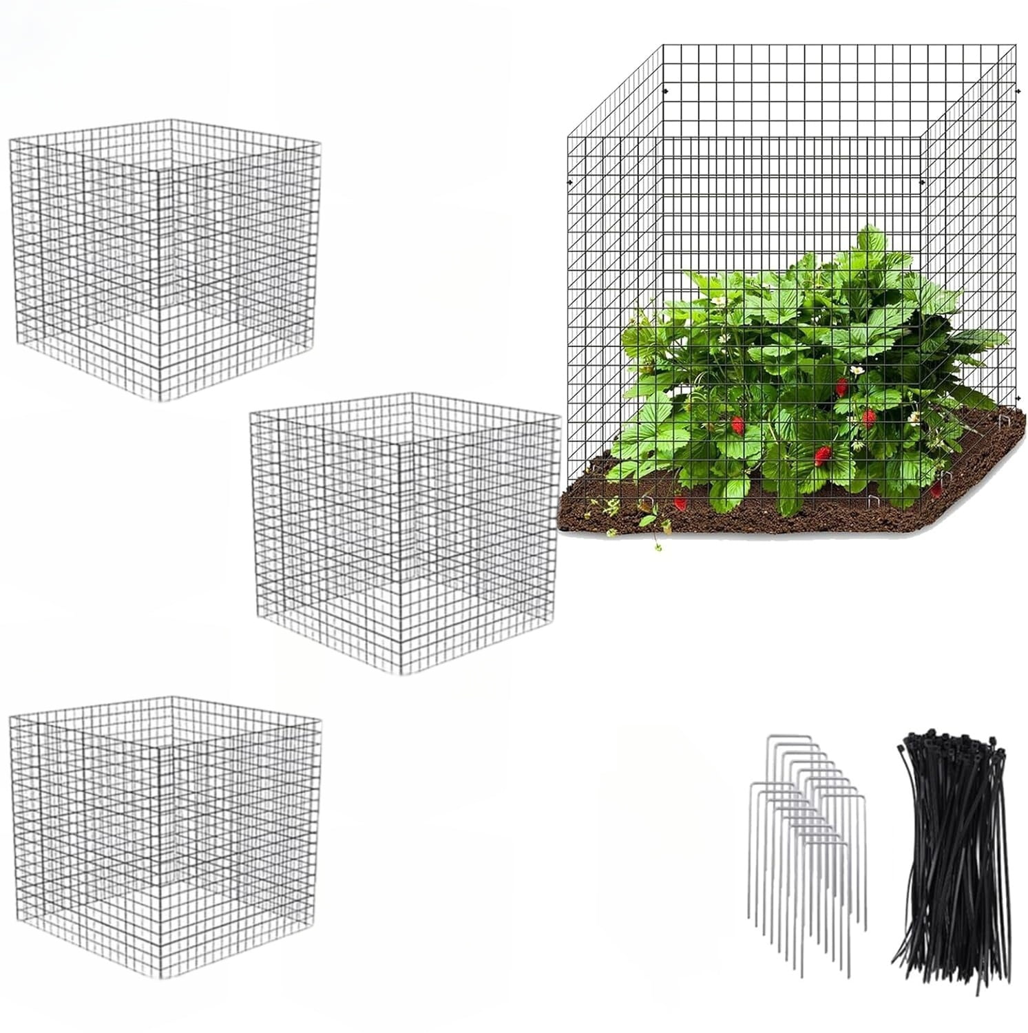 12Pcs Wire Plant Protectors, 11.8" Square Wire Plant Cages Mesh Plant ...