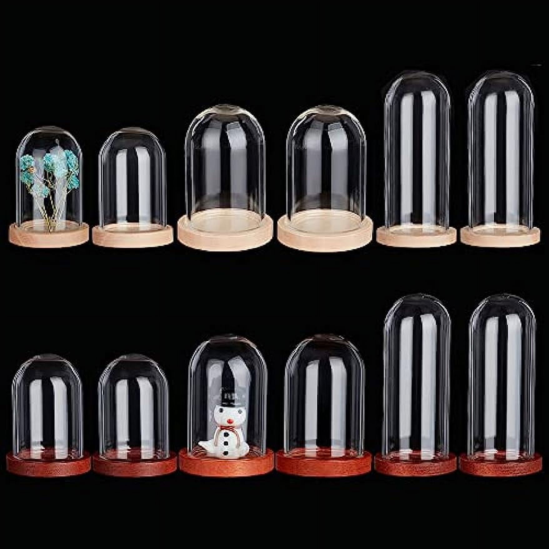 12Sets Glass Display Cloche Dome 3 Size Mini Cloche Bell Jar with Wood ...