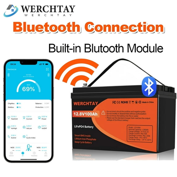 WERCHTAY 12V 100Ah Bluetooth LiFePO4 Lithium Battery for RV Home Off ...