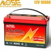 EverStart Platinum BOXED AGM Marine and RV Deep Cycle Battery, Group ...