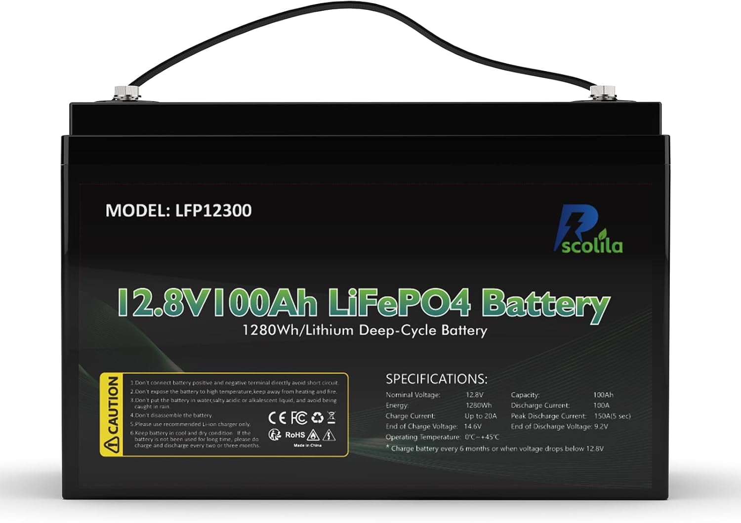 12V 100Ah LiFePO4 Battery, Built-in 100A BMS Rechargeable Lithium ...