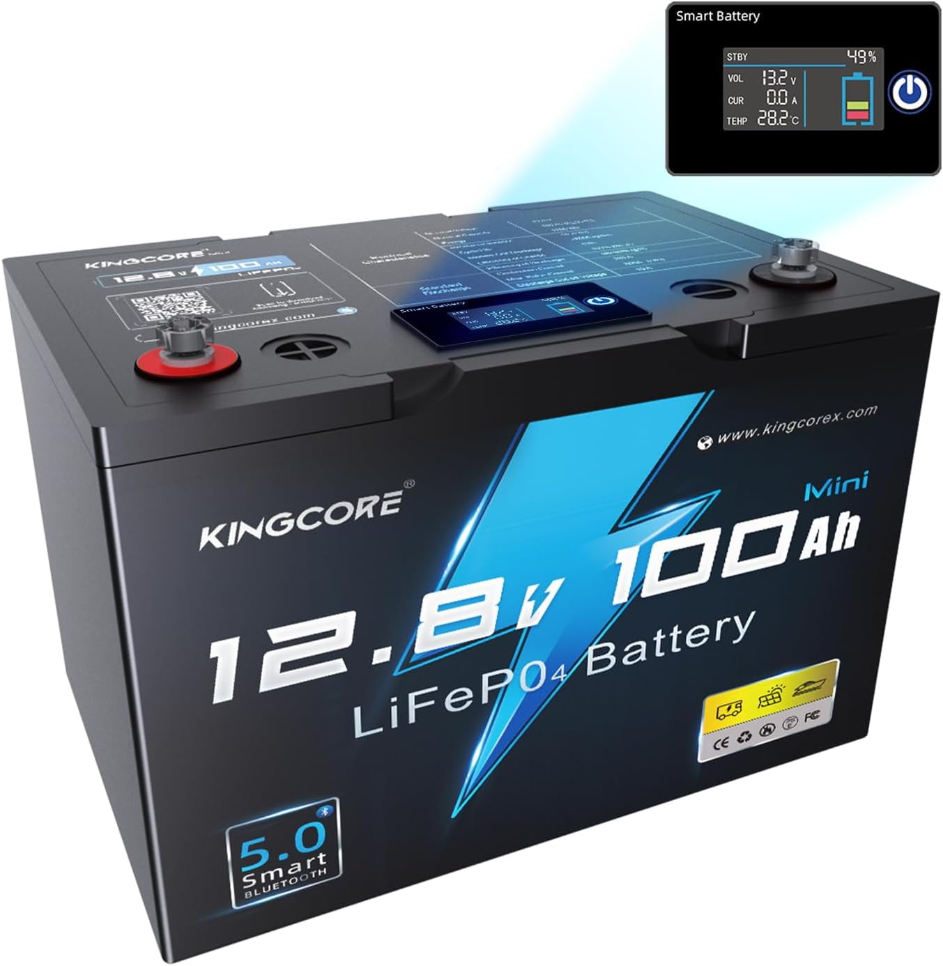 12V 100Ah LiFePO4 Battery, Lithium Battery Built-in 165A , 15000 Deep ...