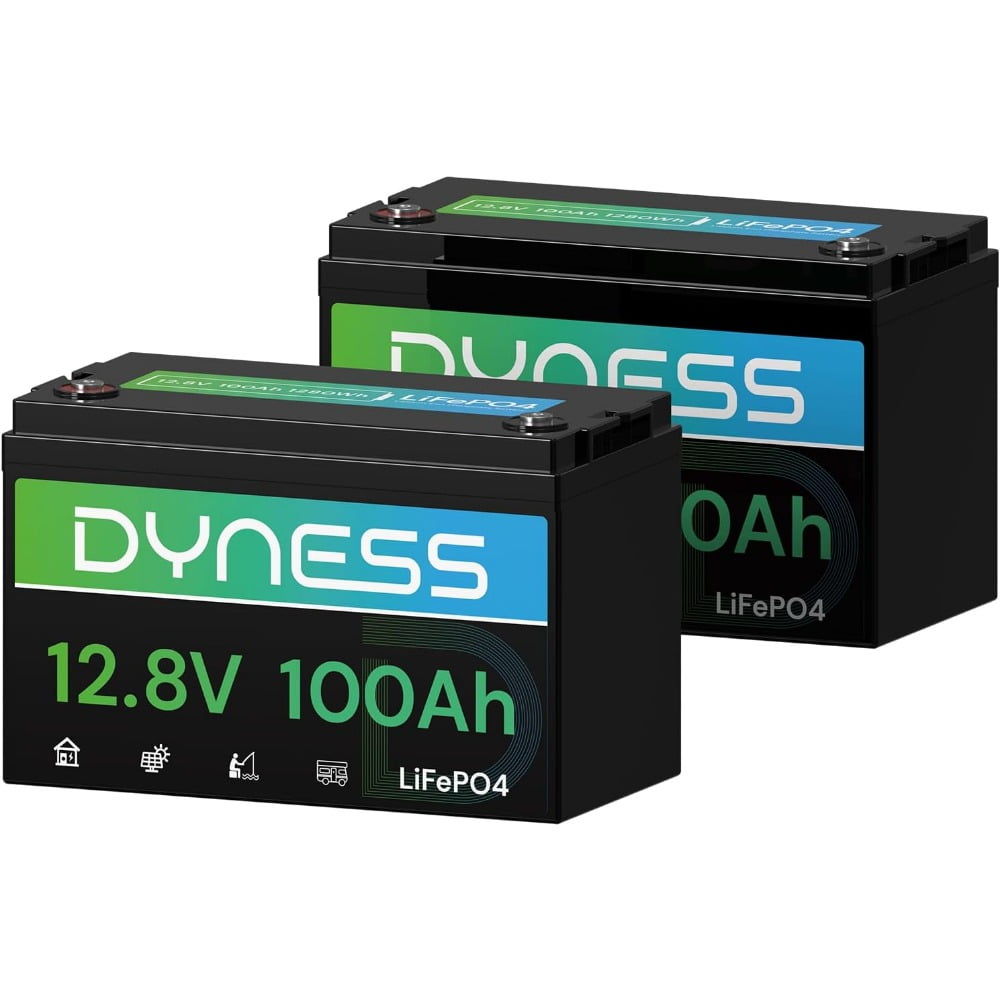 12V 100Ah LiFePO4 Lithium Battery (2 Pack) BCI Group 31 with Low-Temp ...