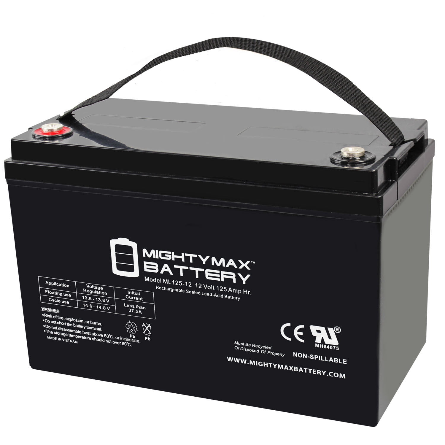 Mighty Max 12V 125AH SLA Deep Cycling Power DC Replacement Battery for ...