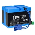 Mighty Max Battery 12V 12AH Replacement for Peg Perego John-Deere Gator ...