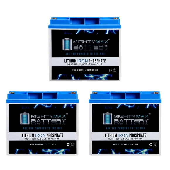 Diehard Battery
