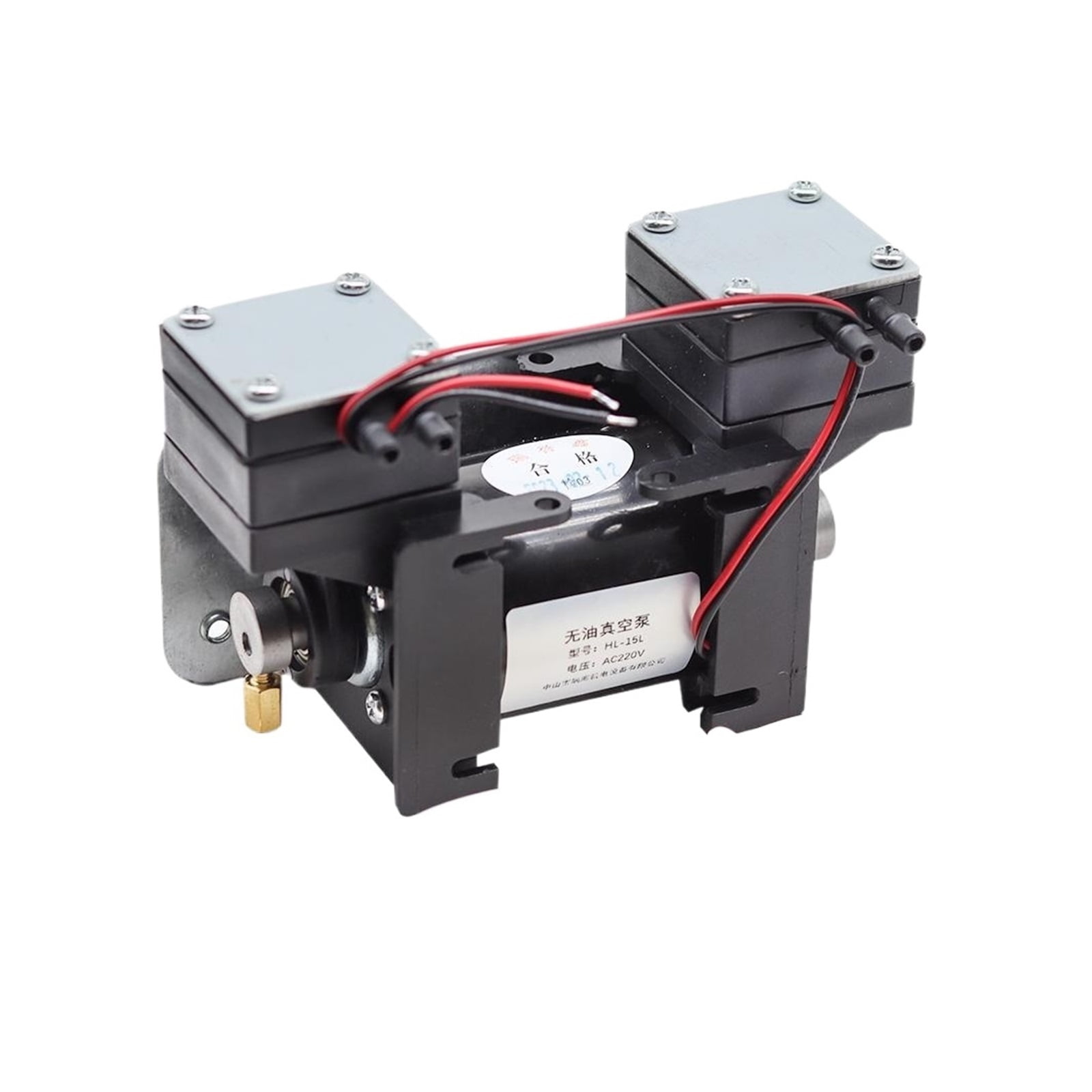 12V/220 High Positive Negative Pressure Vacuum Pump, Lar Beauty ...