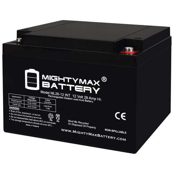 Exide Battery