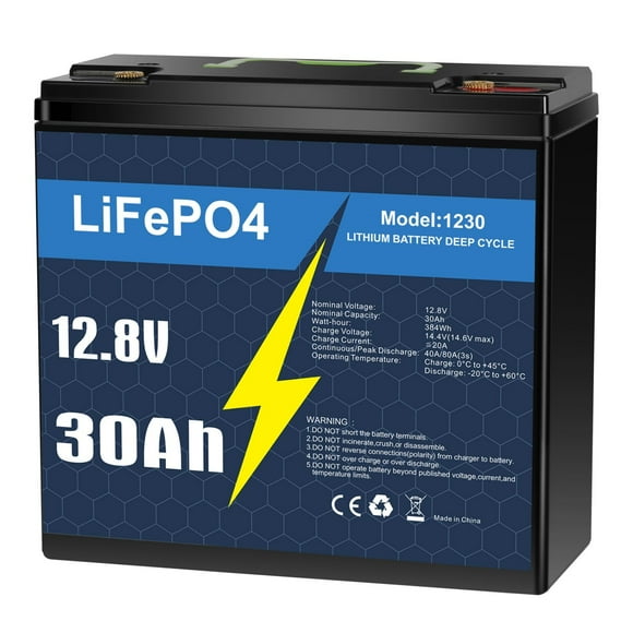Lithium Car Batteries in Lithium Batteries - Walmart.com