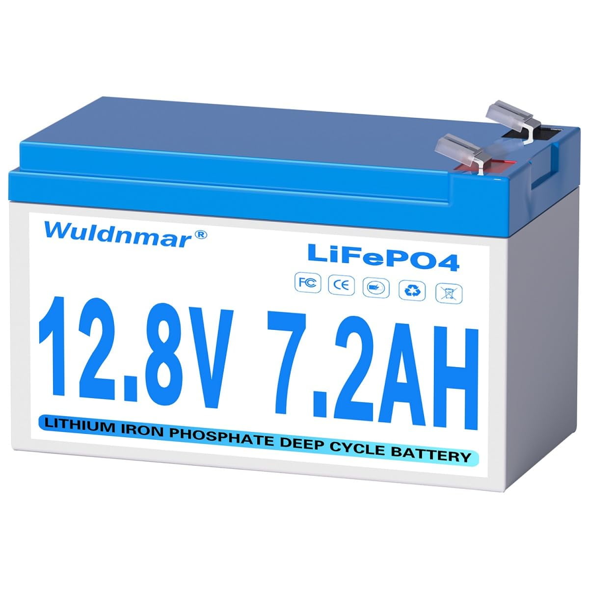 12V 7.2Ah LiFePO4 Battery, Lithium Battery with BMS, 3000+ Cycles, 92 ...