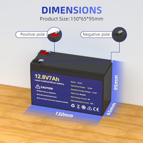12V 7Ah LiFePO4 Battery, 3000+ Cycles 12V 7Ah Small Rechargeable Lithium Battery Built-in 10A ...