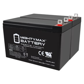 Generator Battery Replacement