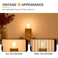 12V Low Voltage LED Light Bulbs - Soft Warm 2700K(Only for 12V-24V DC ...