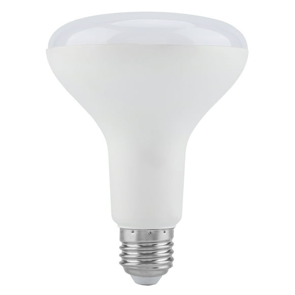 Motion Sensor Light Bulbs in Outdoor Light Bulbs - Walmart.com