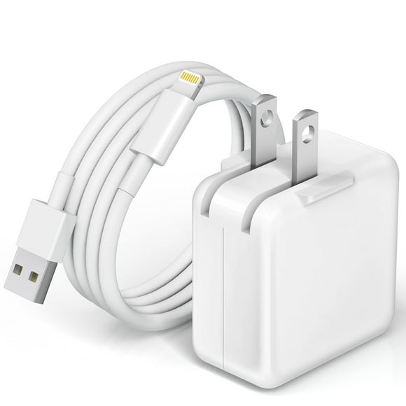 iPhone Wall Charger