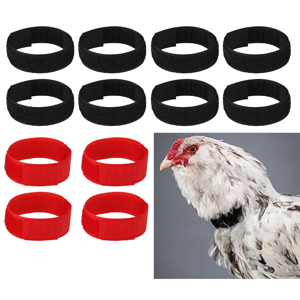 12X Crow Collar for Roosters Cockerel Noise Neck Belt Nylon Poultry ...