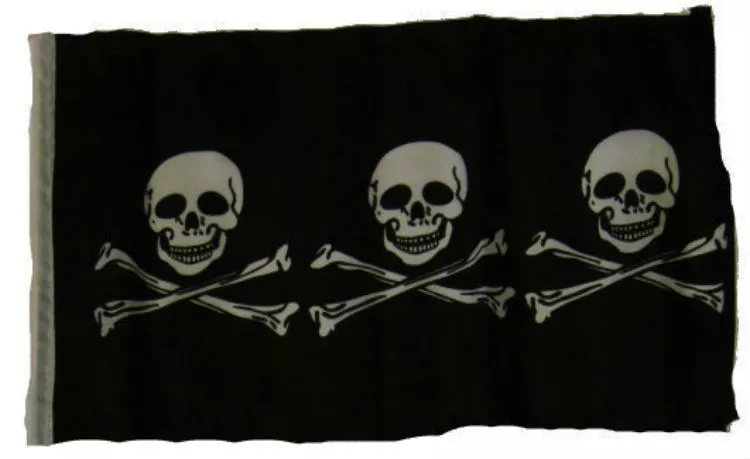 12X18 12"X18" Jolly Roger Pirate Chris Condent Realistic Sleeve Flag ...