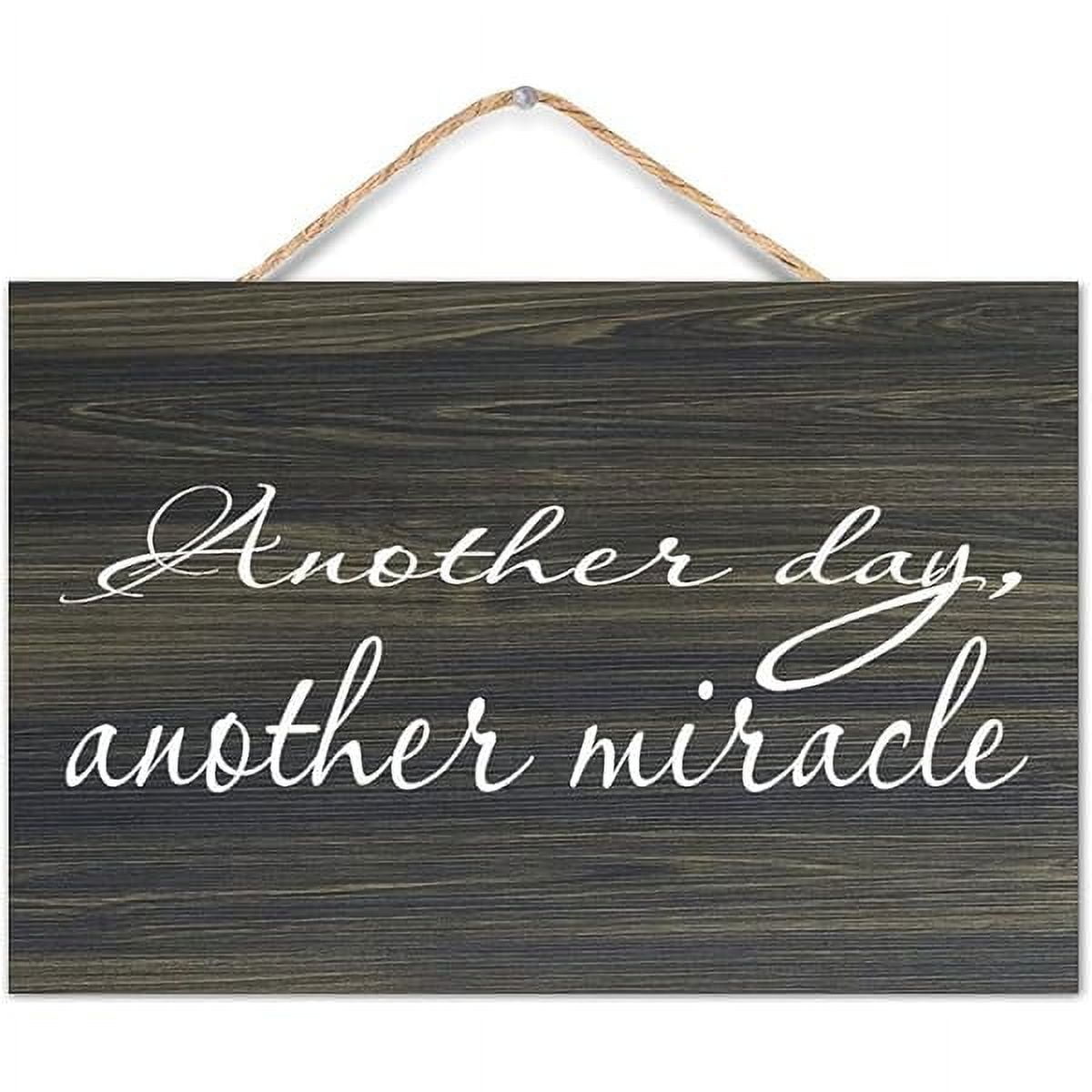 12X6In Decorative Wall Hanging Wood Sign Another Day, Another Miracle ...