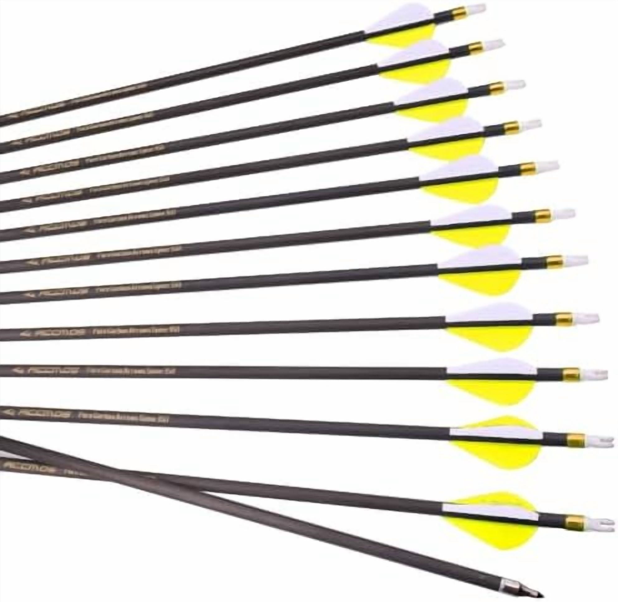 12pc 24-Inch Spine-350 Arrow Removable Tips Targeting Hunting Arrow ...