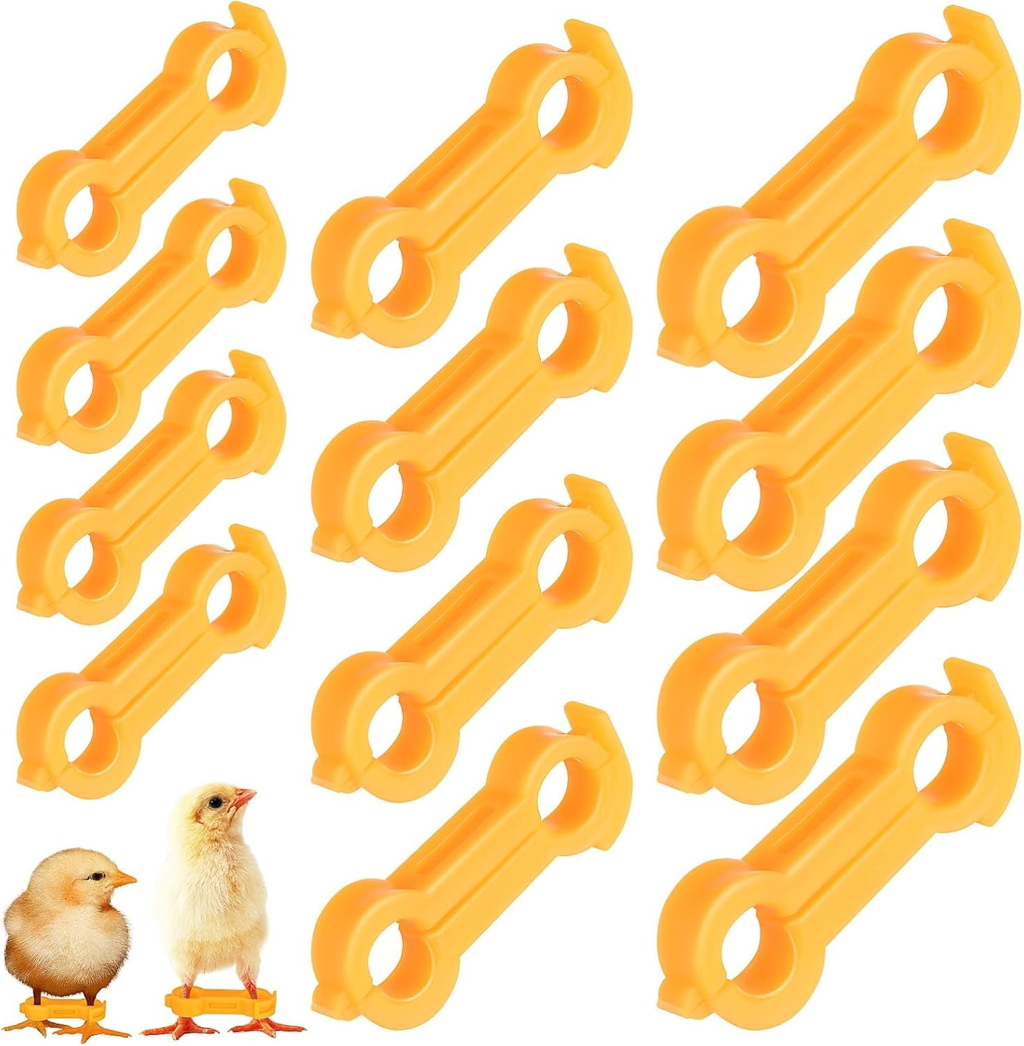 12pcs Chick Leg Braces Hobble Chicken Splay Leg Braces Support Band ...