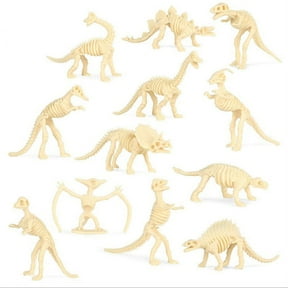 Dinosaur Skeleton Models