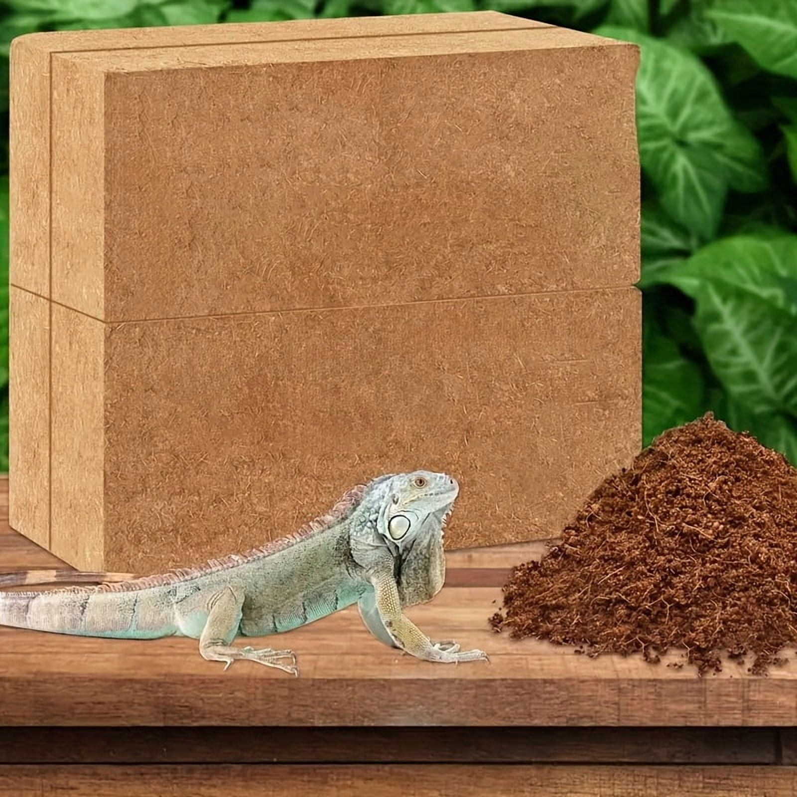 12pcs Of Natural Coconut Mud Bricks for Garden Soil | Suitable for ...